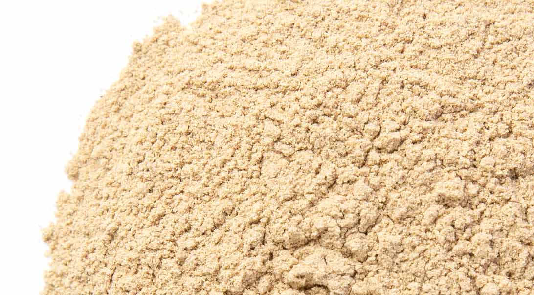 Milk Thistle Seed Powder – Astral Auras